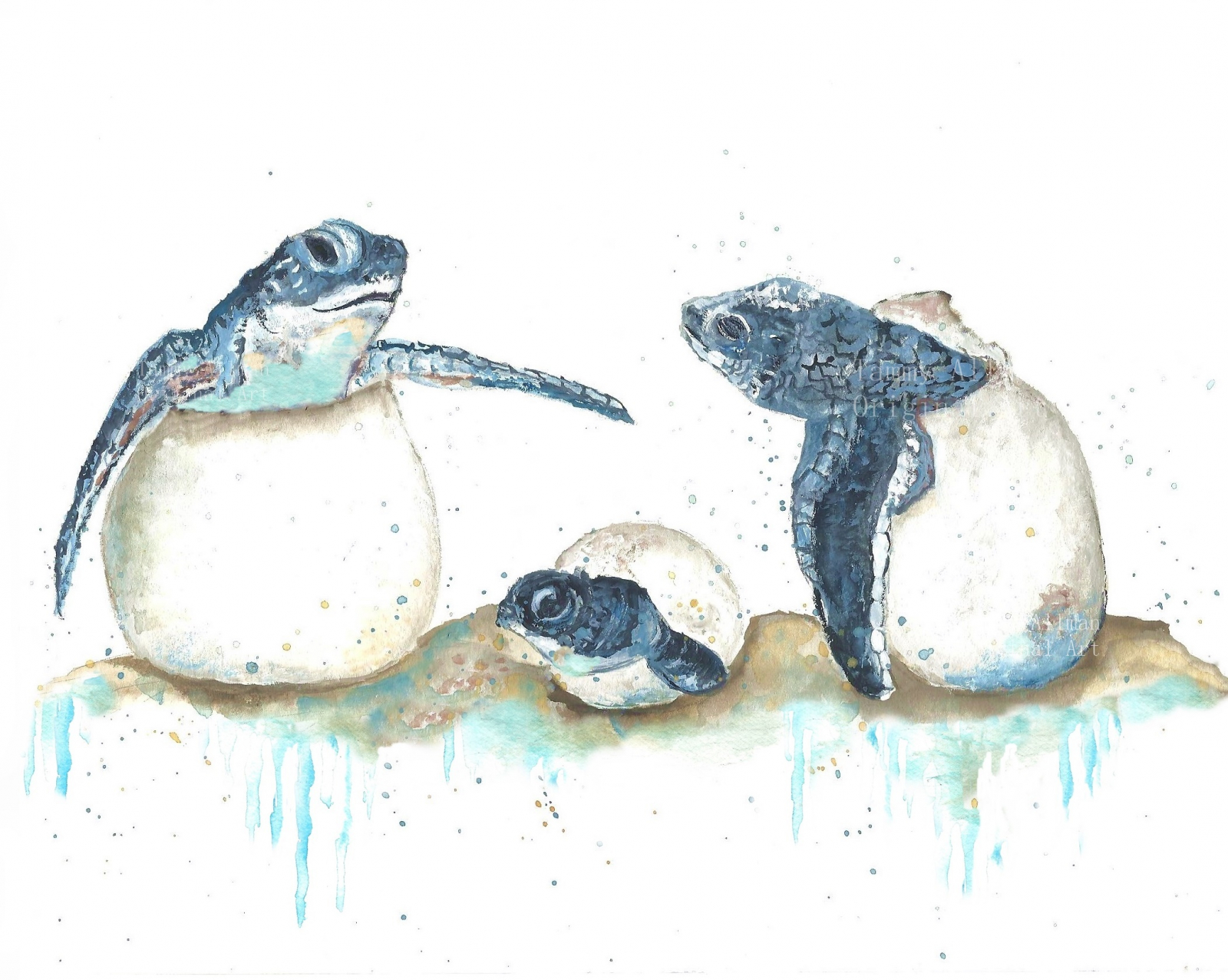 Sea Turtle Watercolor, Sea turtles hatching | Kenzie's Cottage